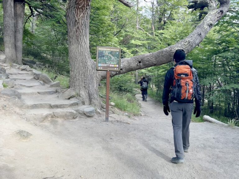 パタゴニアで登山：アルゼンチン側にいくなら外せないフィッツロイ | ベースキャンプニューヨーク（BCNY）