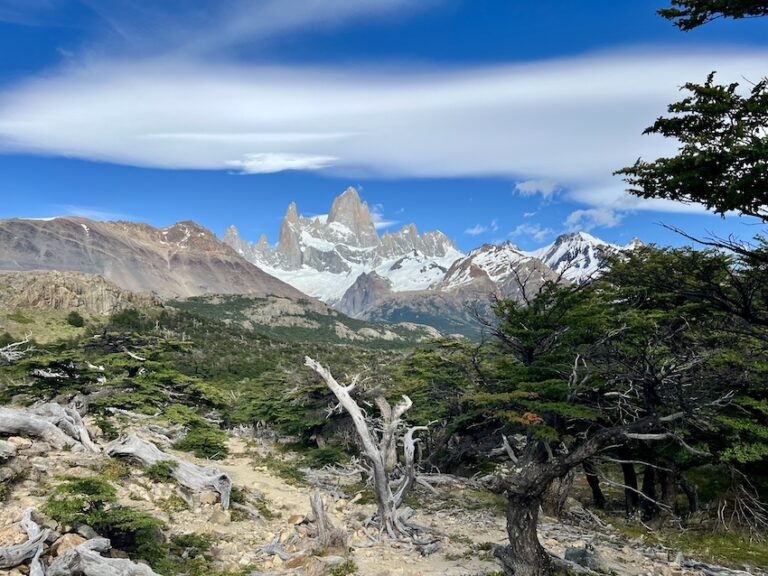 パタゴニアで登山：アルゼンチン側にいくなら外せないフィッツロイ | ベースキャンプニューヨーク（BCNY）