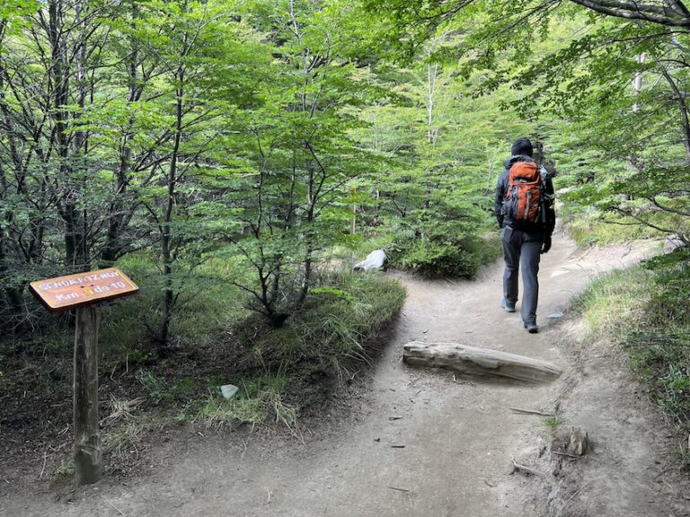 パタゴニアで登山：アルゼンチン側にいくなら外せないフィッツロイ | ベースキャンプニューヨーク（BCNY）